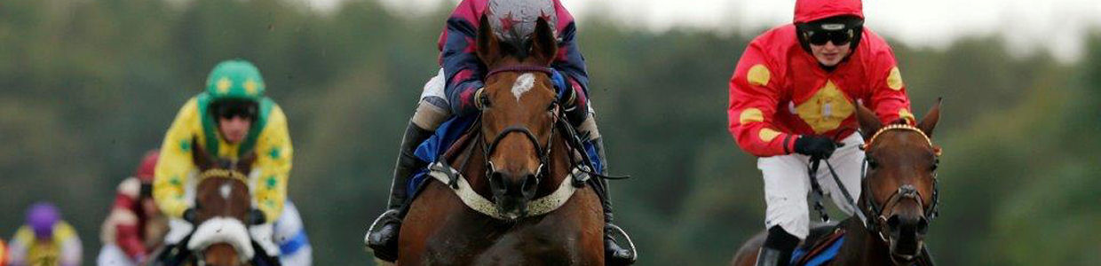 Racehorse Syndicates Association