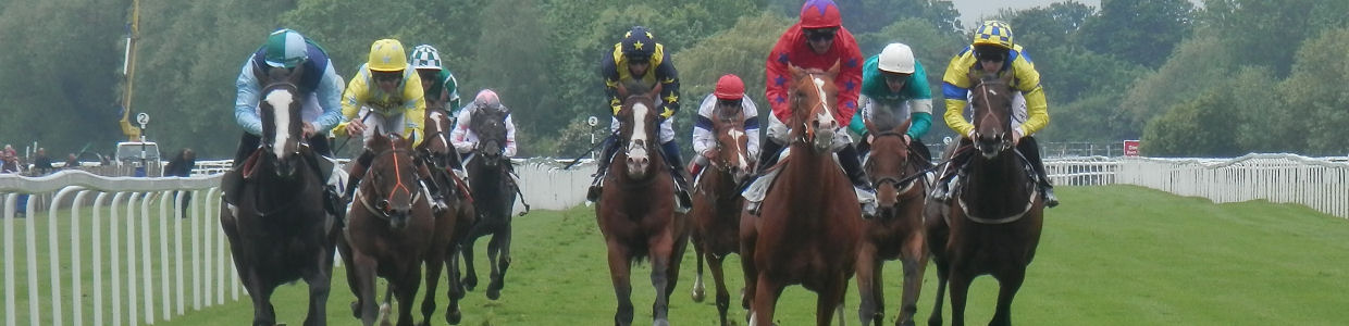 Racehorse Syndicates Association